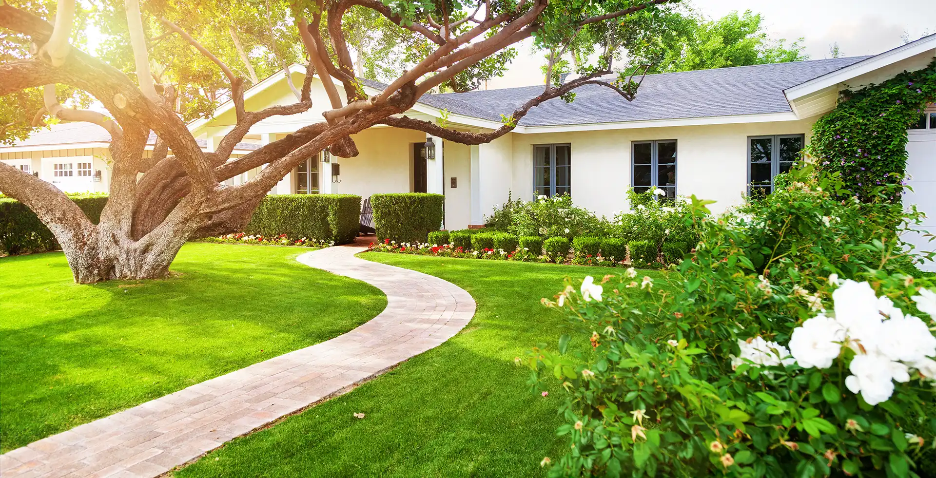 Lawns - GRO-WELL Brands